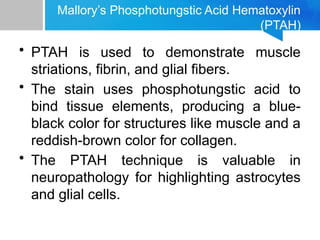 Routine_Staining_Procedures_H&E_and_PTAH_v2.pptx