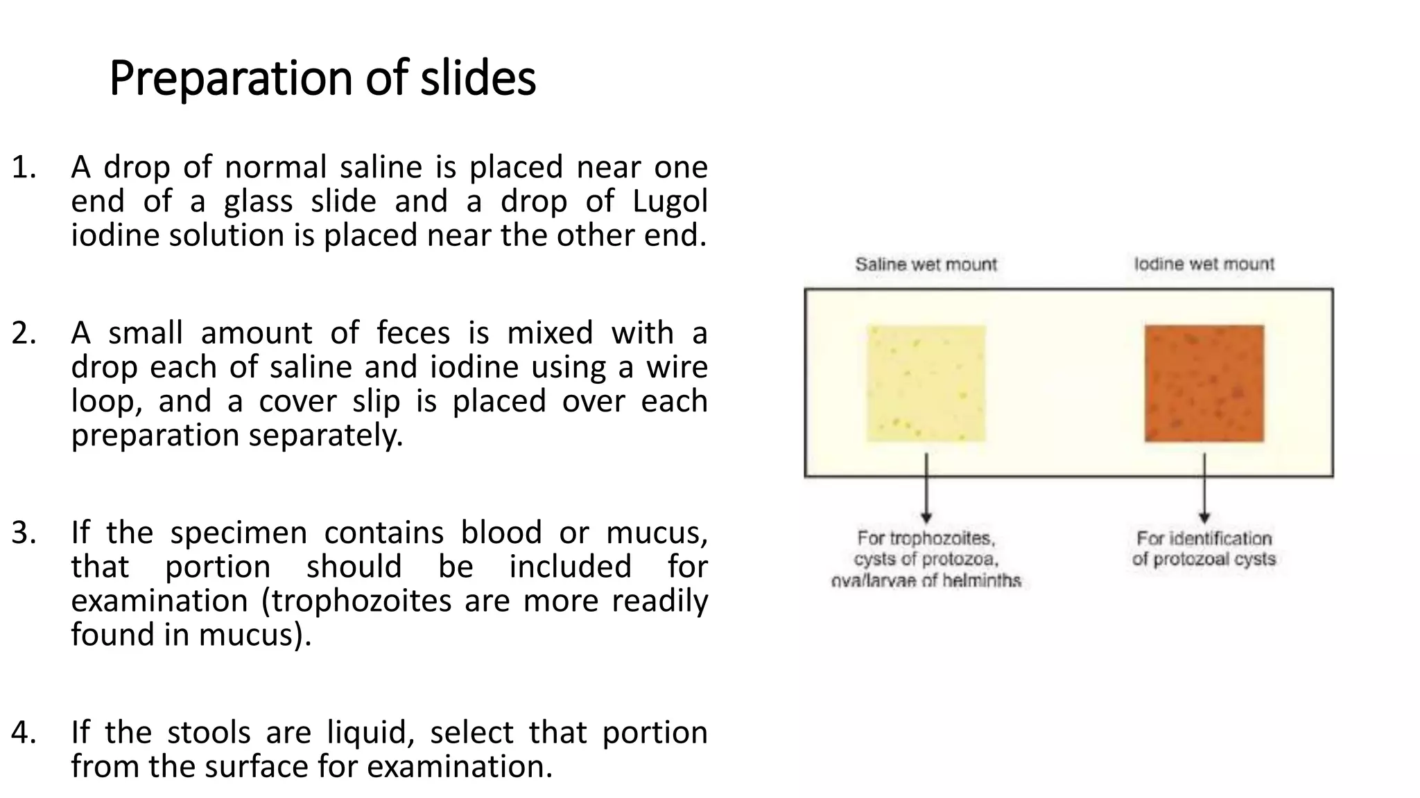 ROUTINE STOOLE EXAMINATIN | PPTX