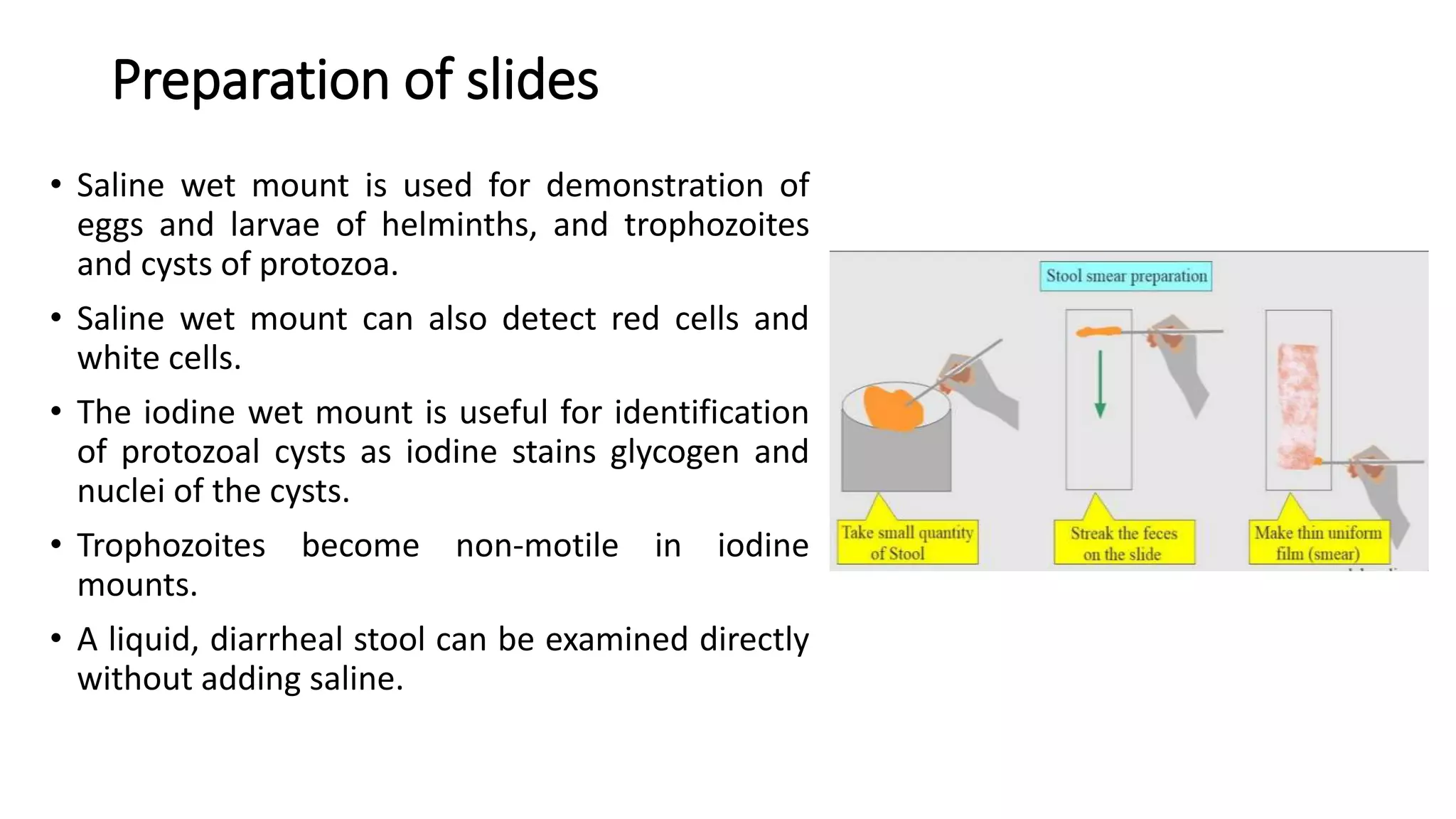 ROUTINE STOOLE EXAMINATIN | PPTX