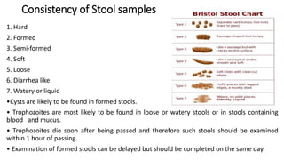 ROUTINE STOOLE EXAMINATIN | PPTX