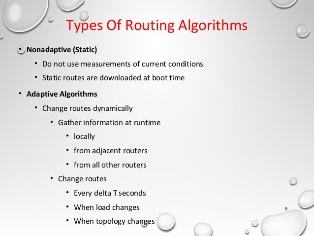 Routing Algorithm Network Layer 2849