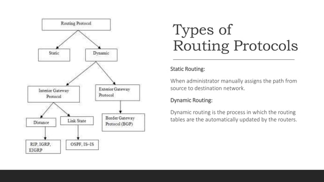 Routing Protocols.pptx | Computer Networking | Computing