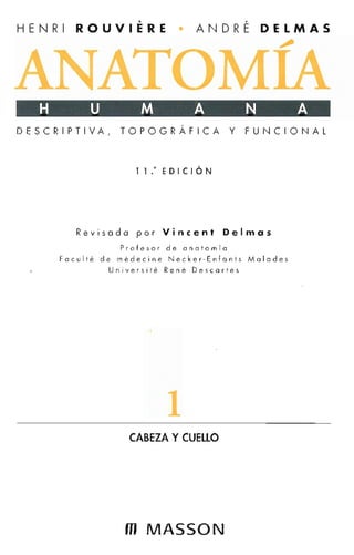 ROUVIERE Anatomia 11va Ed | PDF