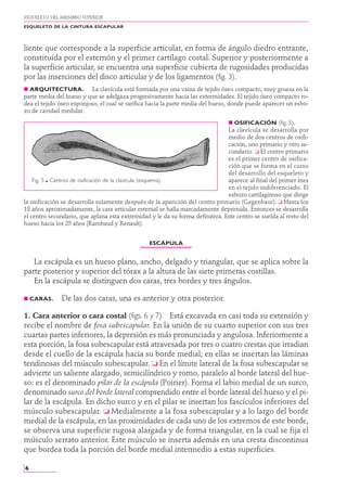 libro de rouviere anatomía humana tomo 3 | PDF