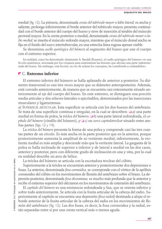 libro de rouviere anatomía humana tomo 3 | PDF