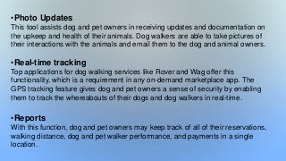 Rover App Business Model.pptx