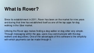 Rover App Business Model.pptx