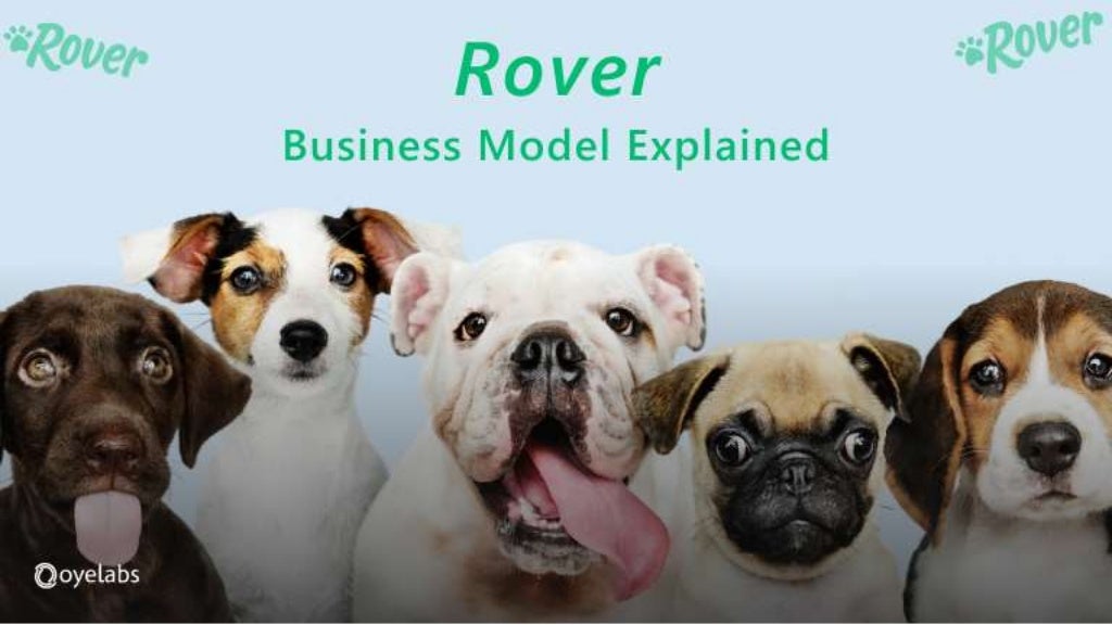 Rover App Business Model.pptx | Free Download