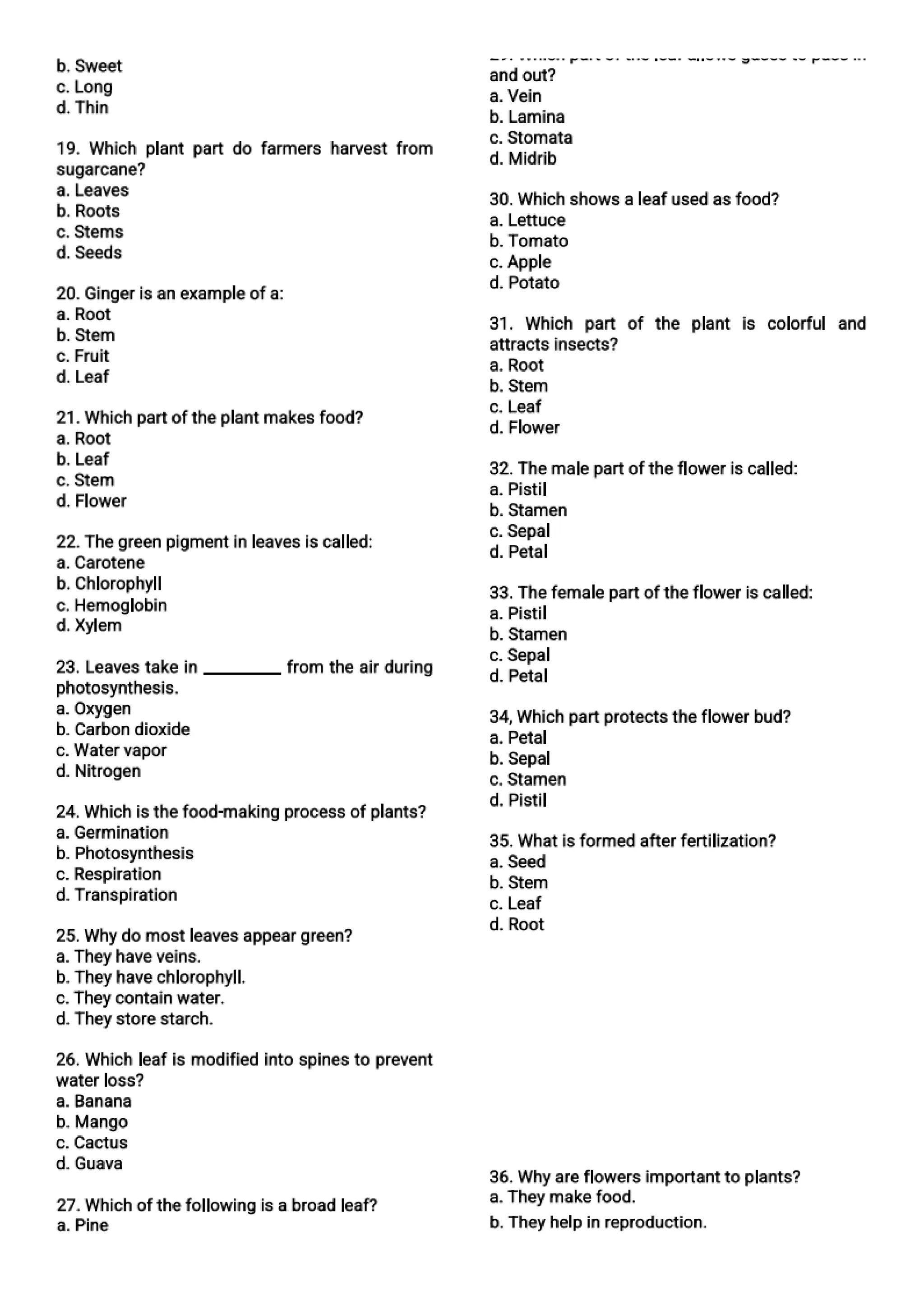 ROVIC_EXAMPLE OF TEST QUESTIONAIRES TEST.PDF