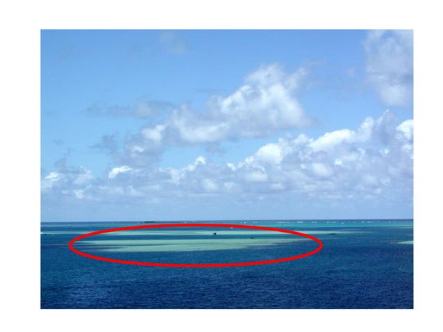 Roving diver surveys 2015 | PPT