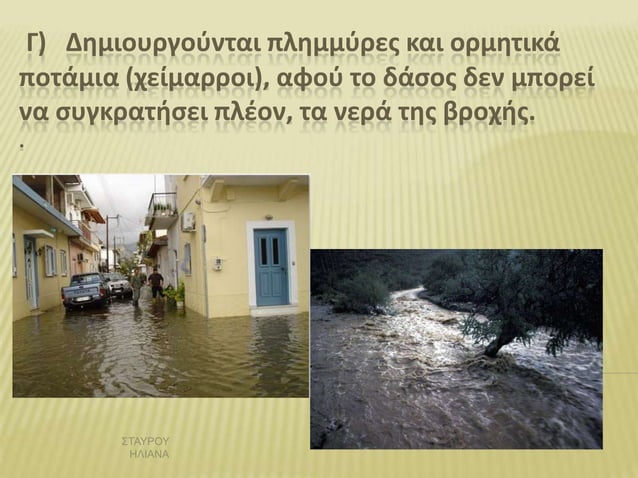 Καταστροφή του δάσους | PPT
