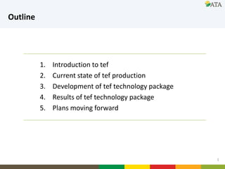 Row planting in tef | PPTX | Agriculture | Industries