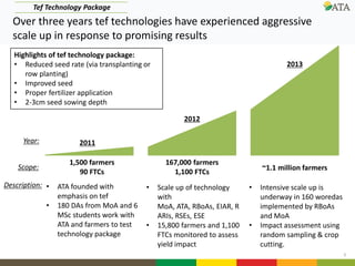 Row planting in tef | PPTX | Agriculture | Industries