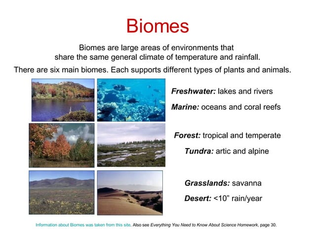 Roxaboxen Presentation | PPT