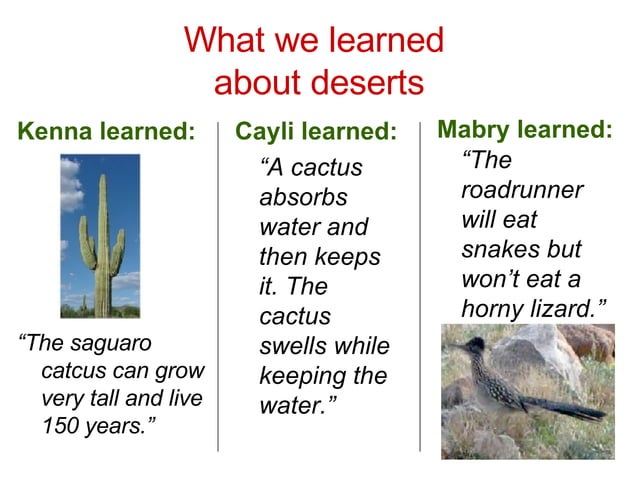 Roxaboxen Presentation | PPT