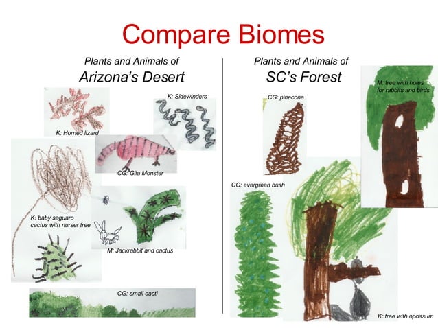 Roxaboxen Presentation | PPT