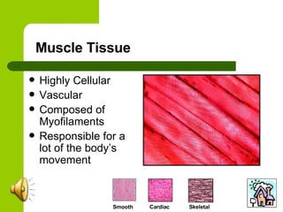 Roxanne Tissues | PPT