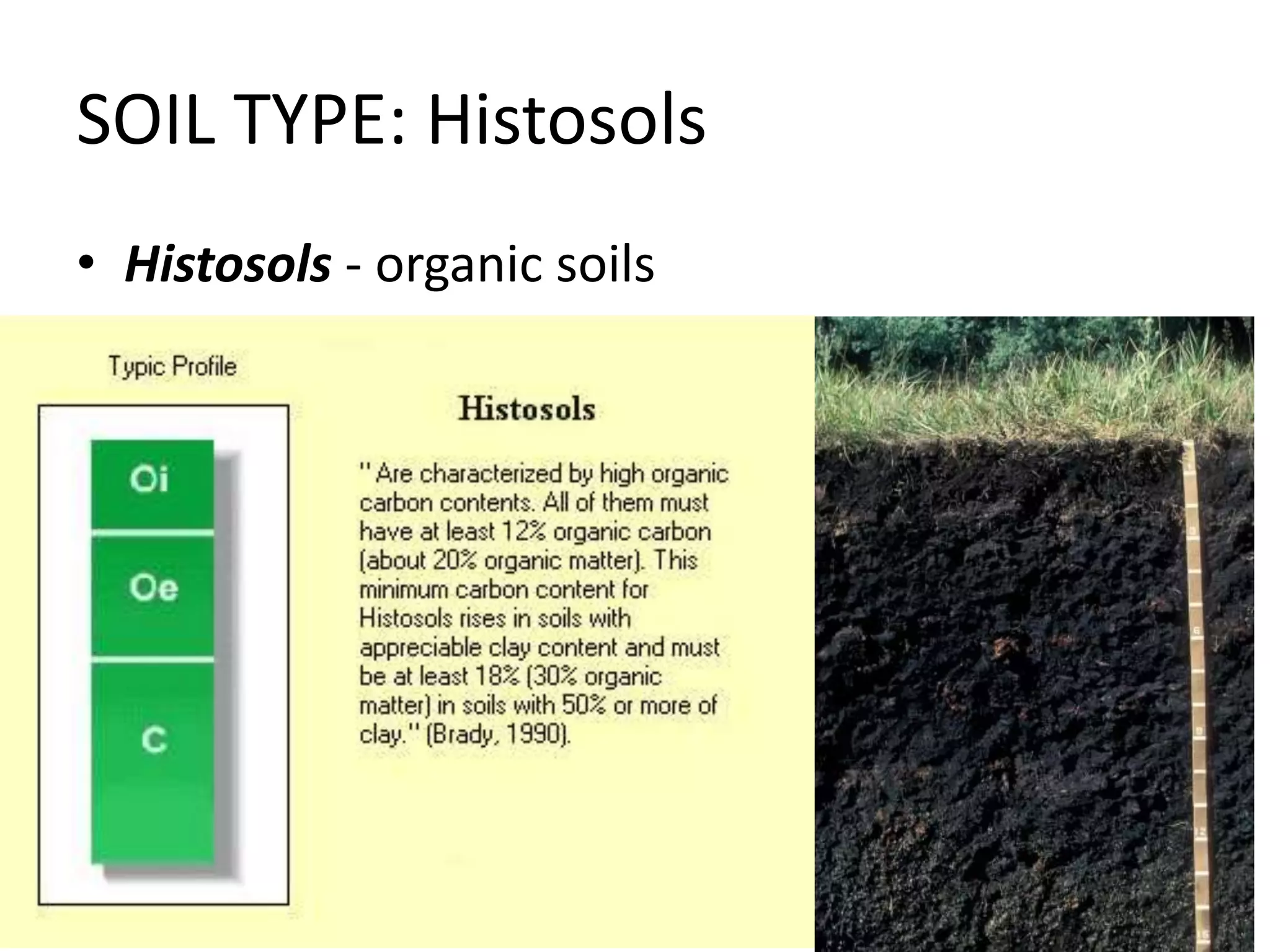 Roxas blvd, Manila Pasay, Philippines Soil Type Research | PPTX