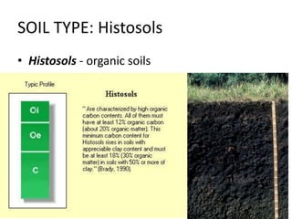 Roxas blvd, Manila Pasay, Philippines Soil Type Research | PPTX