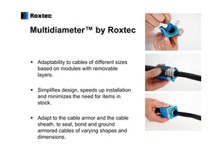 Roxtec BG Solutions | PDF