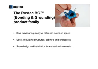 Roxtec BG Solutions | PDF