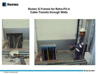 Roxtec MCT - Cable Entry Solutions for Process Industries | PPTX