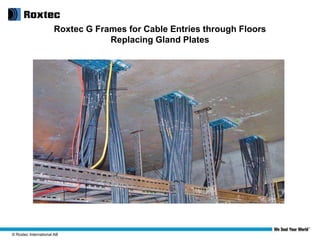 Roxtec MCT - Cable Entry Solutions for Process Industries | PPTX