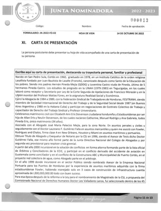Roy-Pineda-Castro.pdf