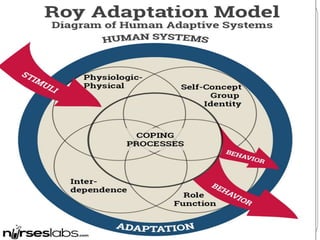 ROY ADAPTATION MODEL .pptx