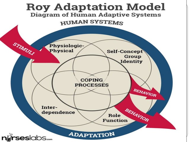 ROY ADAPTATION MODEL .pptx | Science
