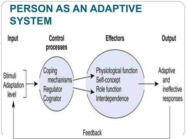 ROY ADAPTATION MODEL .pptx | Science