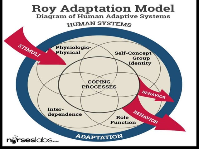 Roy adaptation model | PPTX
