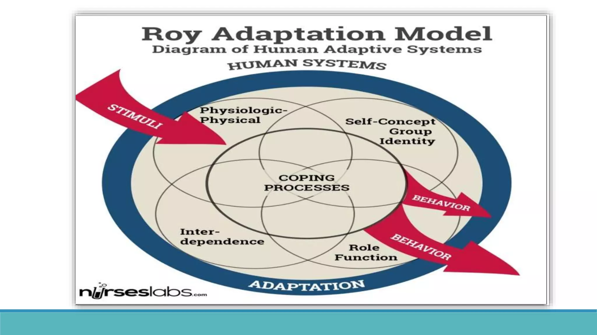 Roy's Adaptation Theory | PPTX