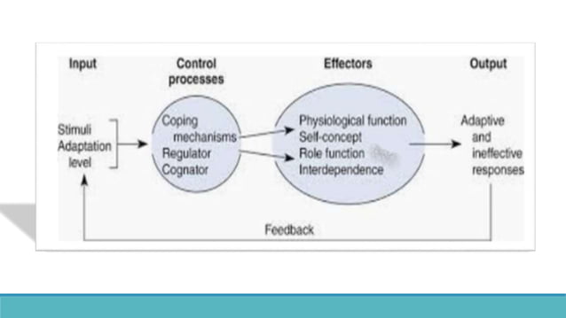 Roy's Adaptation Theory | PPTX