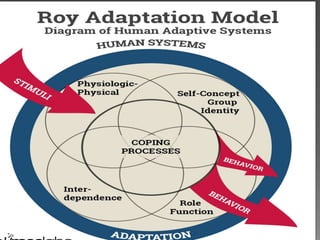 Roy' adaptation theory.pptx