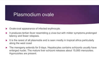 TYPES OF MALARIAL PARASITES | PPSX