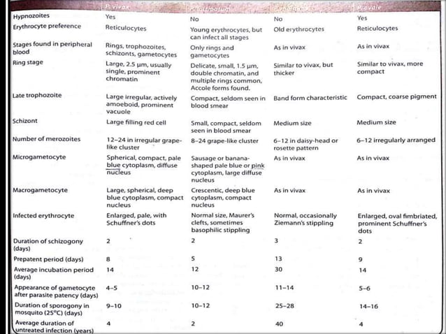 TYPES OF MALARIAL PARASITES | PPSX | Infectious Diseases | Diseases and ...