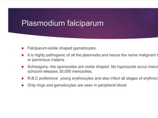 TYPES OF MALARIAL PARASITES | PPSX