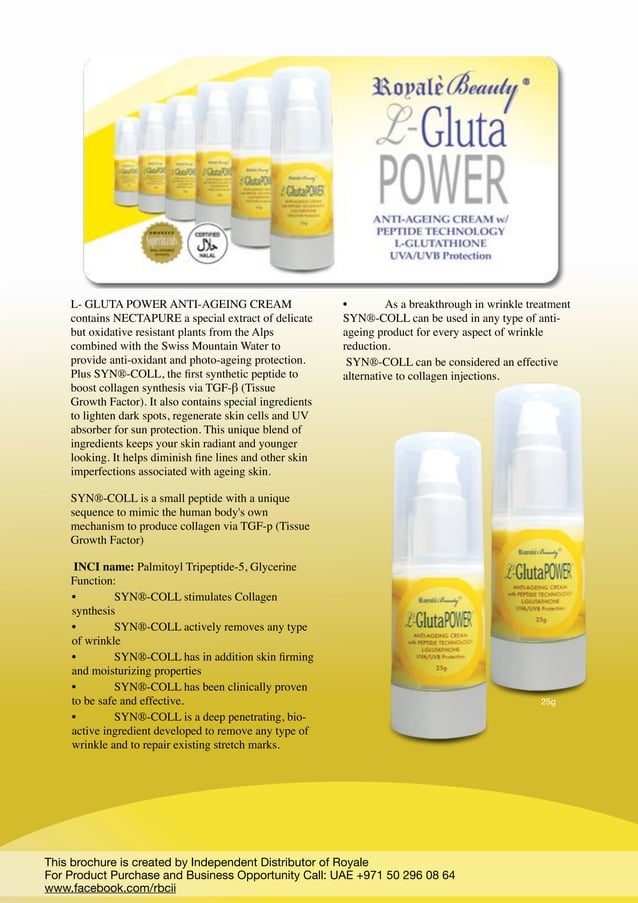 Royale BUSINESS brochure | PDF
