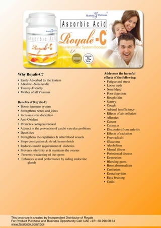 Royale BUSINESS brochure | PDF