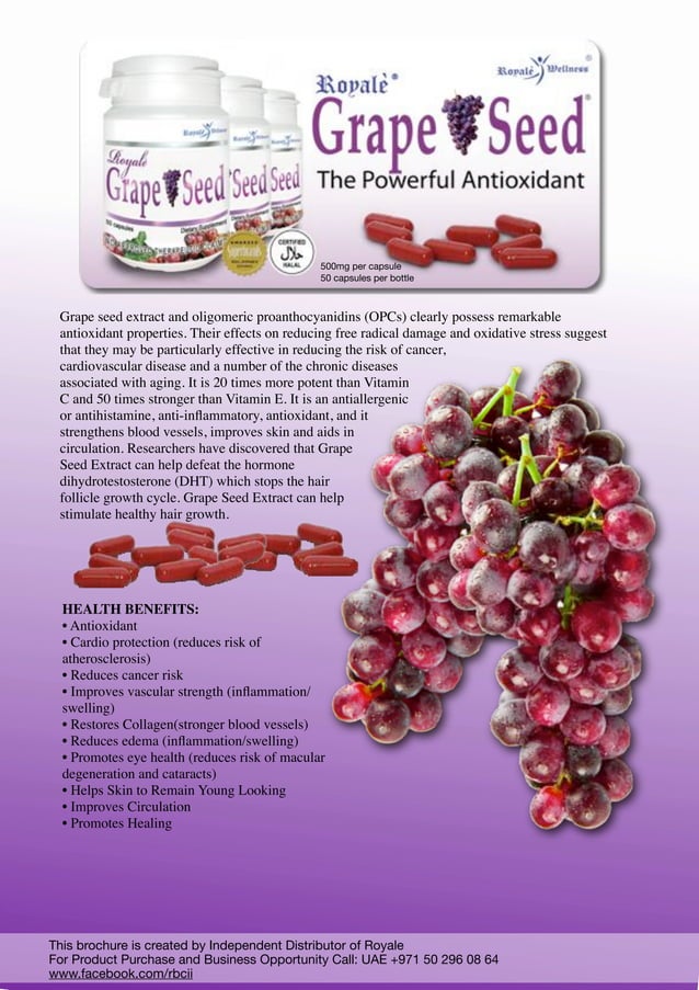 Royale brochure | PDF