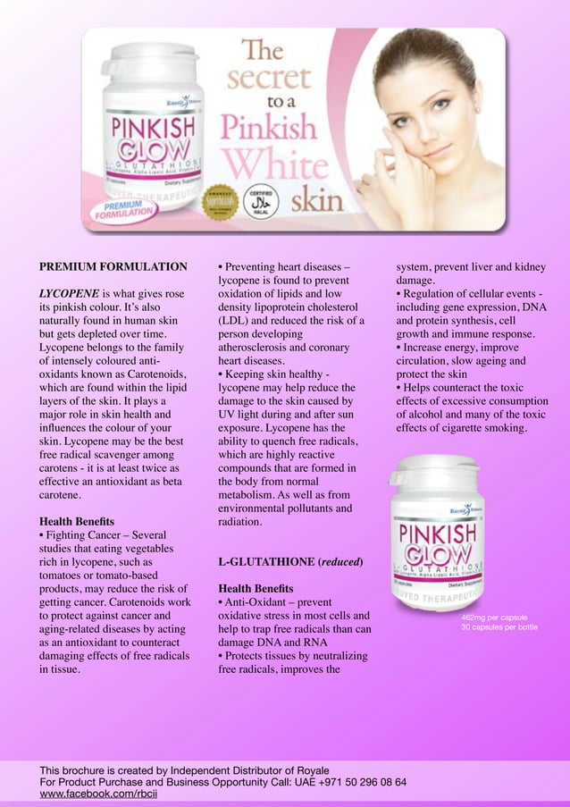 Royale brochure | PDF