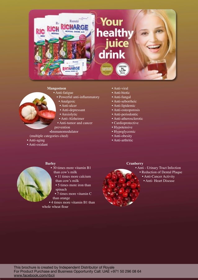 Royale brochure | PDF