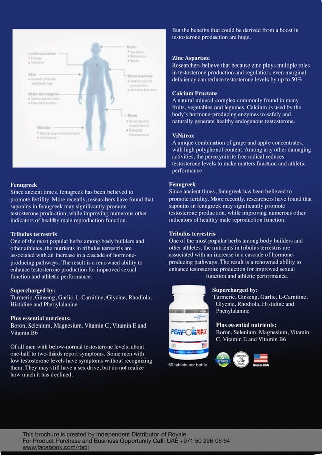 Royale brochure | PDF