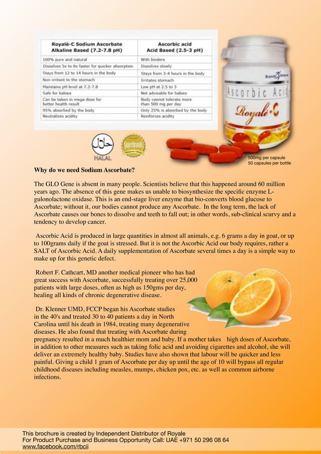 Royale brochure | PDF