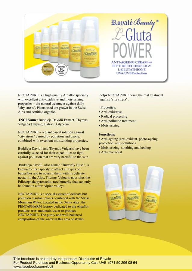 Royale brochure | PDF