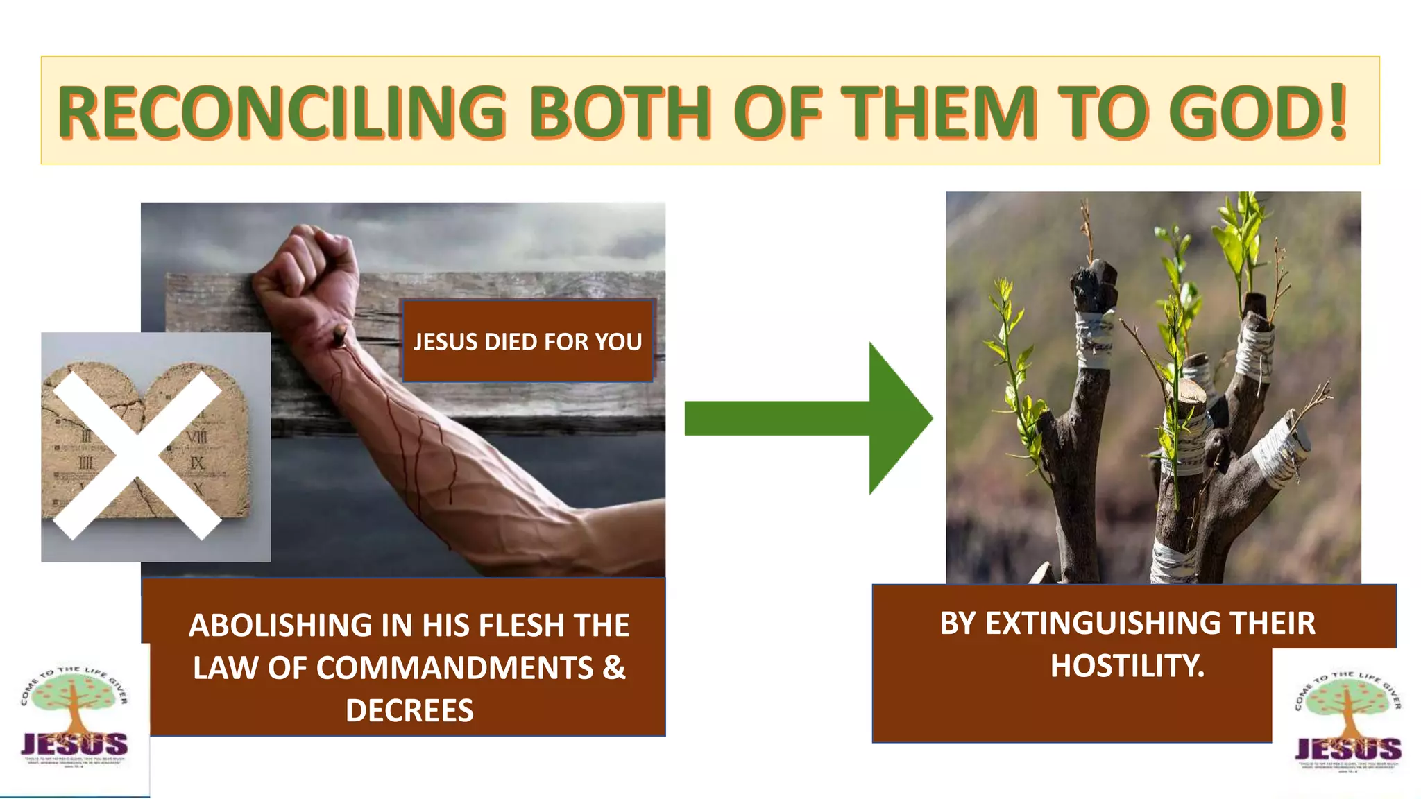 WE ARE A ROYAL PRIESTHOOD IN CHRIST JESUS | PPTX