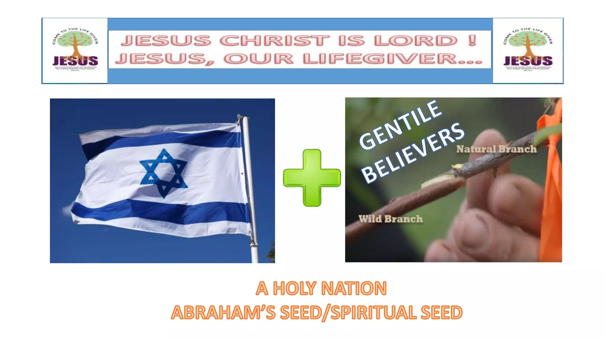 WE ARE A ROYAL PRIESTHOOD IN CHRIST JESUS | PPTX