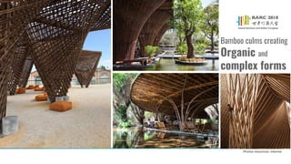 Roya Mostaed Shirehjini_Bamboo culm buildings | PDF