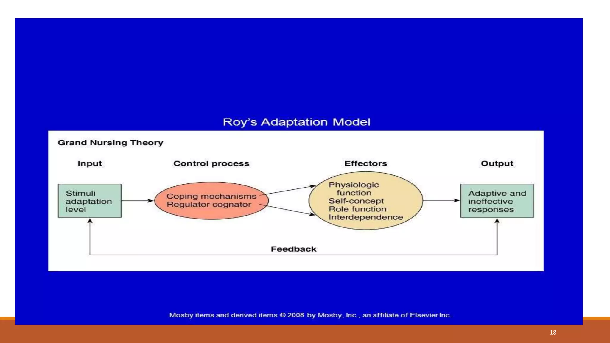Roy nursing theory | PPTX